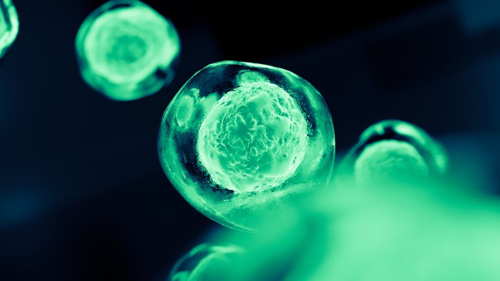 Clinical Trial Marketing and Advertising: Effective Clinical Trial Strategy